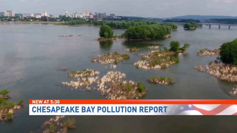Report: PA not doing enough to reduce pollution in the Chesapeake Bay | WHP