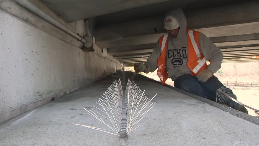 MassDOT removes anti-homeless spikes under bridge | WJAR