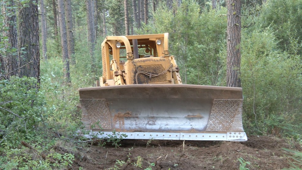 'Being able to put a dozer line in wilderness makes more sense' | KVAL