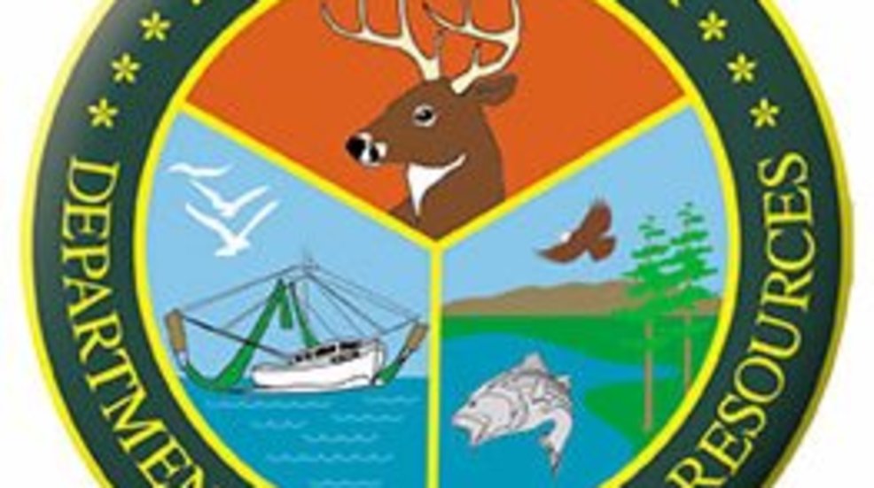 SCDNR closing hunting for most species in parts of Pee Dee and Waccamaw ...