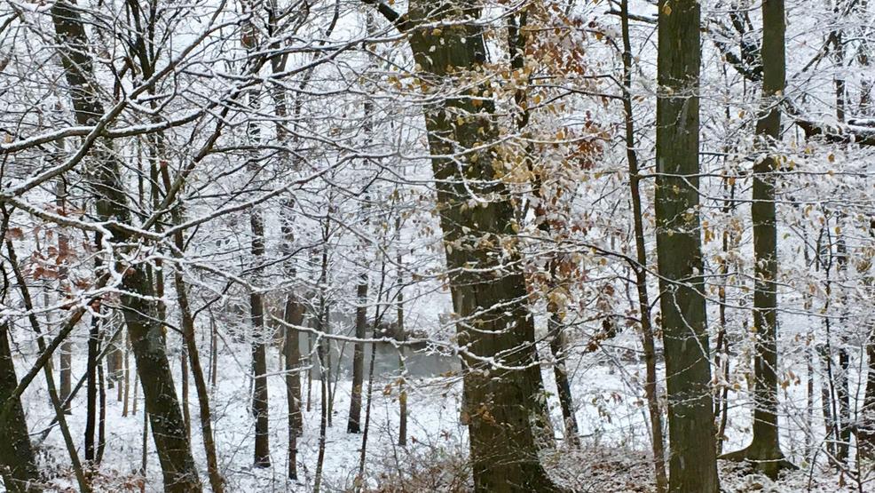 Michigan's Upper Peninsula hit with season's 1st big snow | WWMT